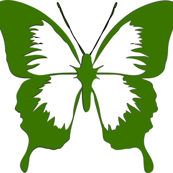 Epidermolysis Bullosa (EB) - Melocare GmbH